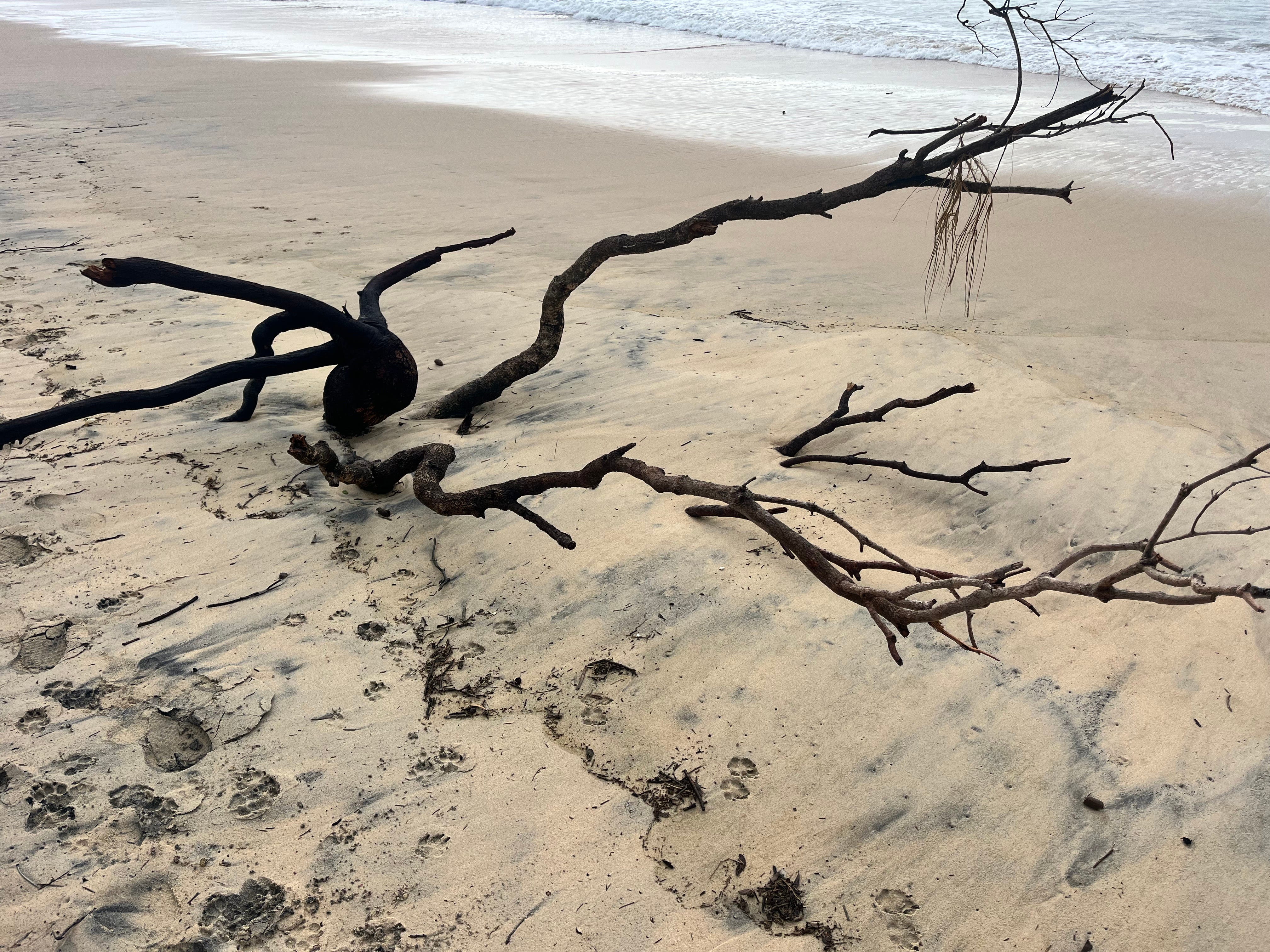 stuck - by Greg Carman - Greg’s Substack