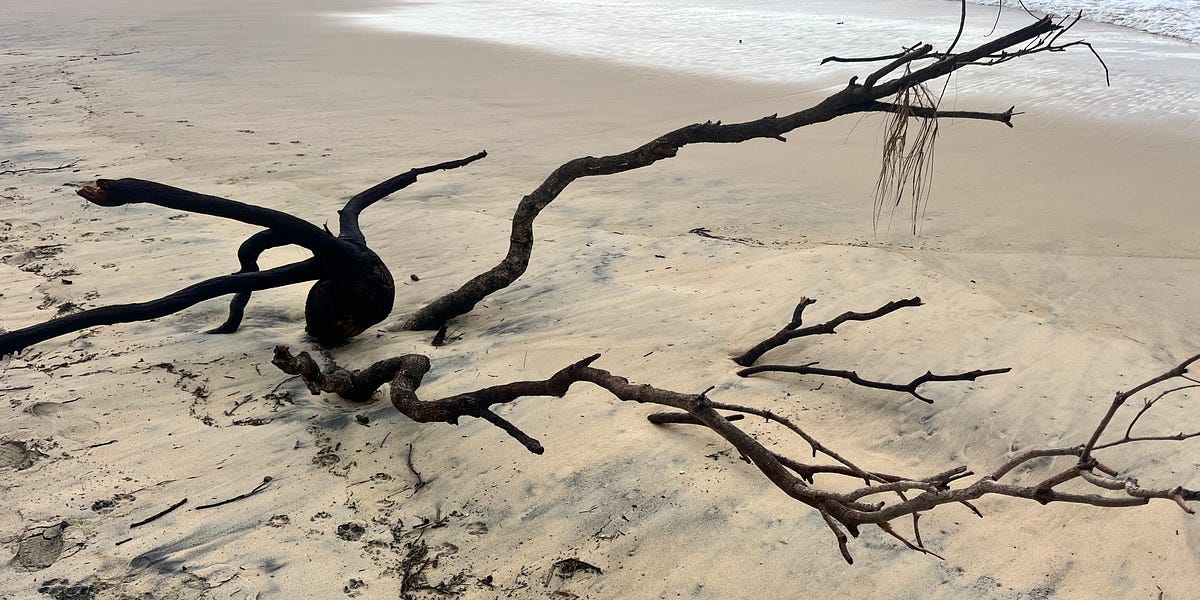 stuck - by Greg Carman - Greg’s Substack