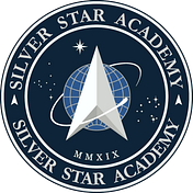 Silver Academy | The Silver Academy | Substack