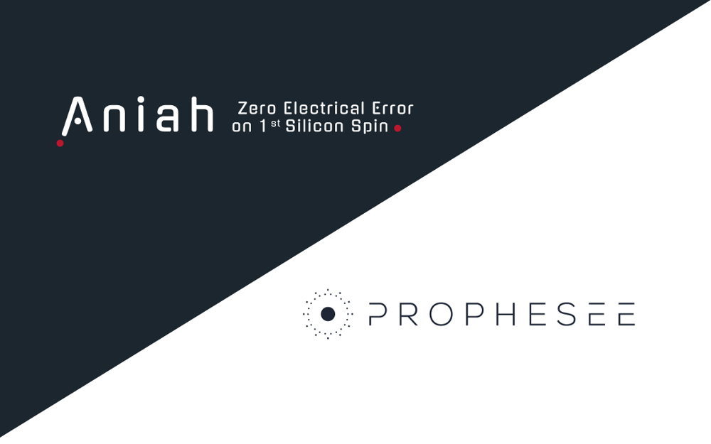 Aniah (France): Strategic Analysis of EDA Software and Semiconductor ...
