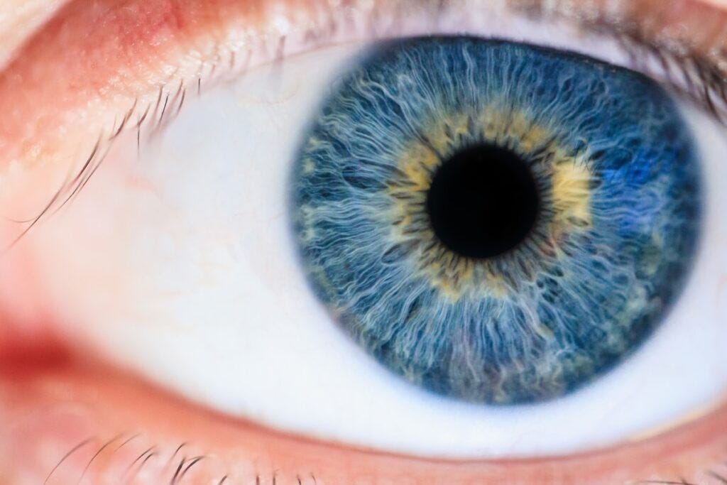 STRANGE SCIENCE : Use This Info to Impress Your Friends