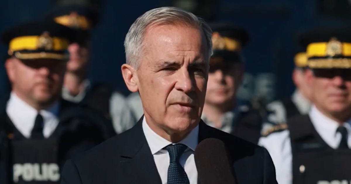EXCLUSIVE: Ward in Carney’s Nepean riding was crime-ridden hotspot in 2025