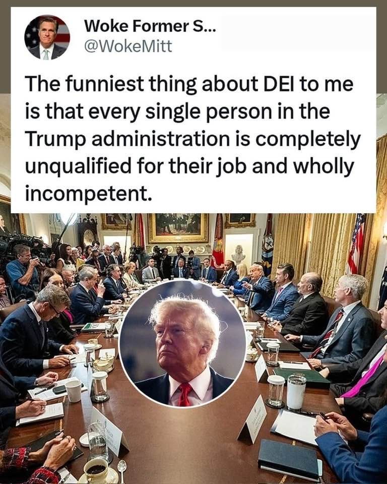 Ellen Mitchell (@ellenmitchell2):