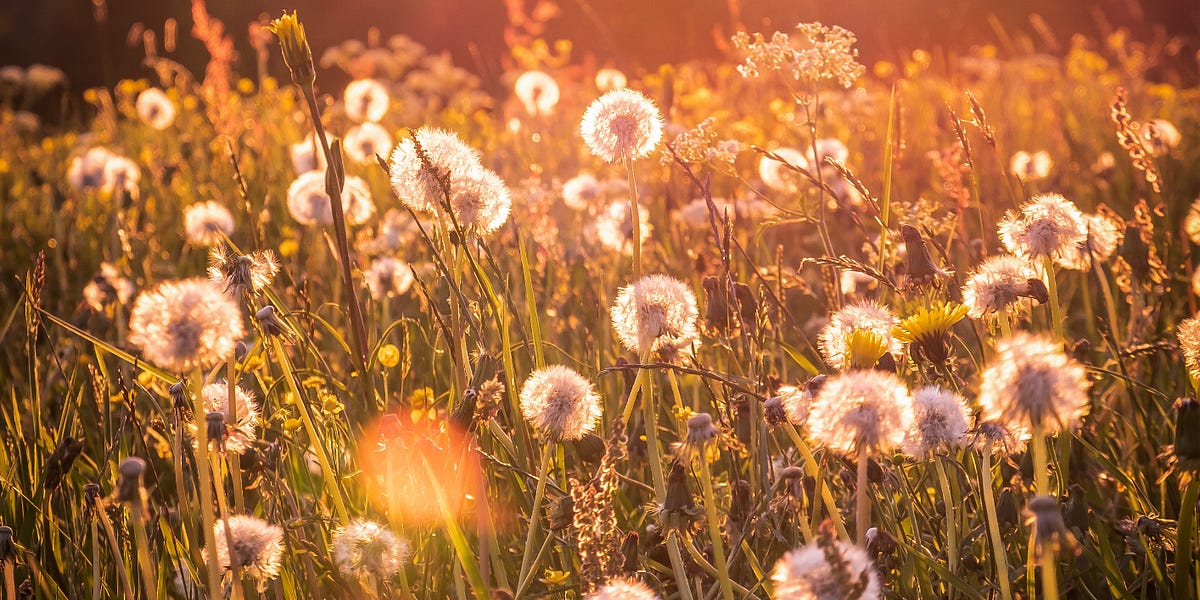 When Childhood Was Anything But Normal: Unraveling the Aftermath