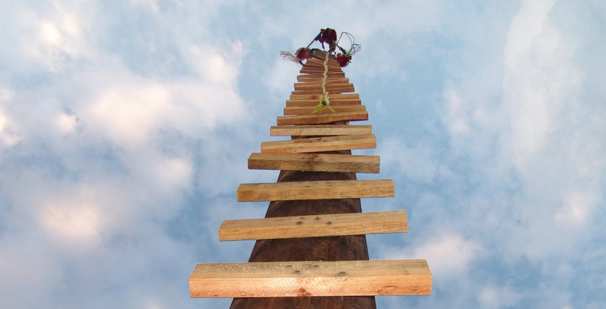 Kicking Away the Ladder - by Jennifer Berkshire