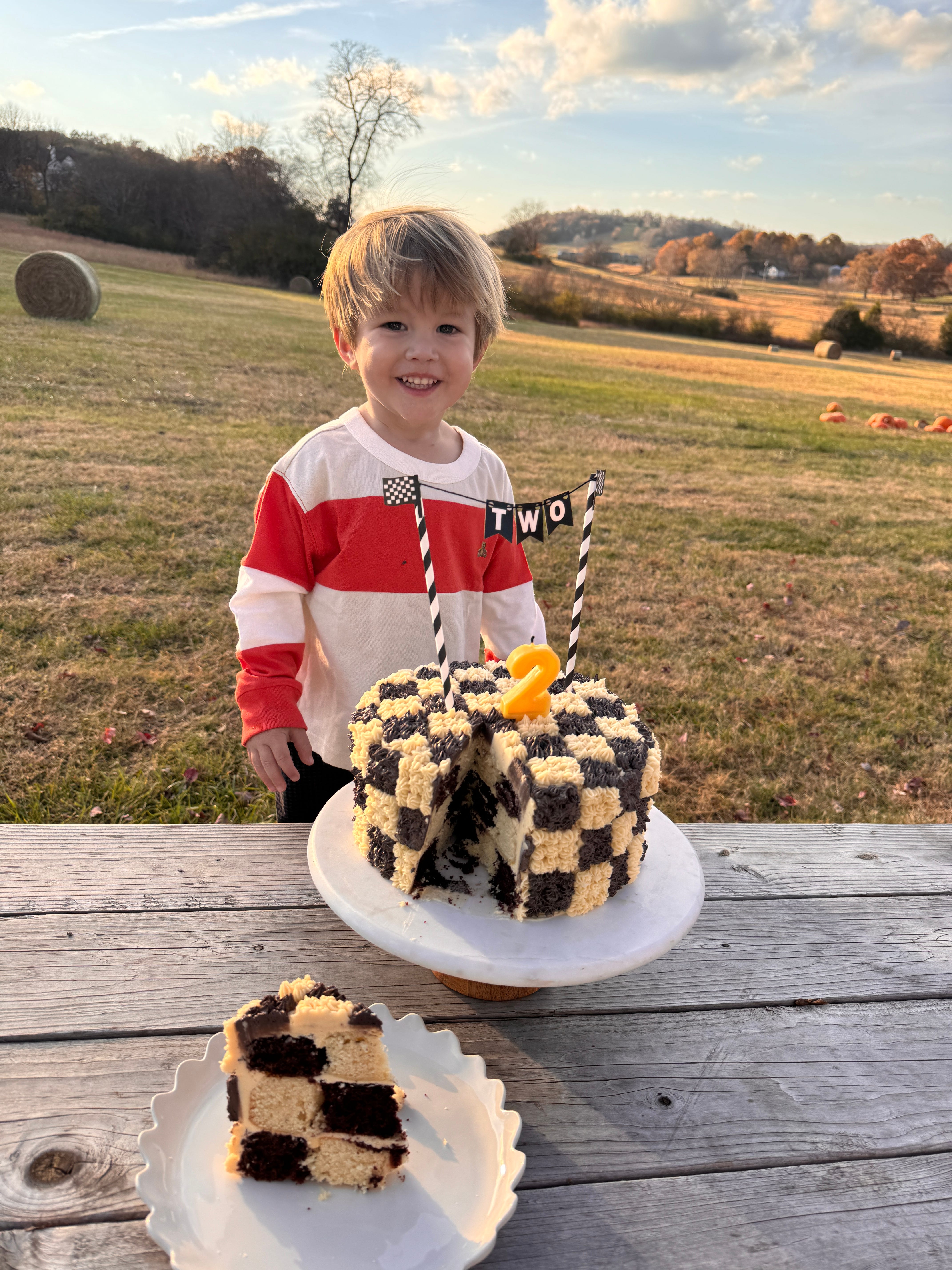 Elliott’s Checkerboard Birthday Cake - by Brittany Xavier