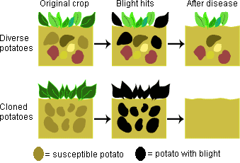 Why Everyone Will Embrace Eugenics When We Have Artificial Super ...