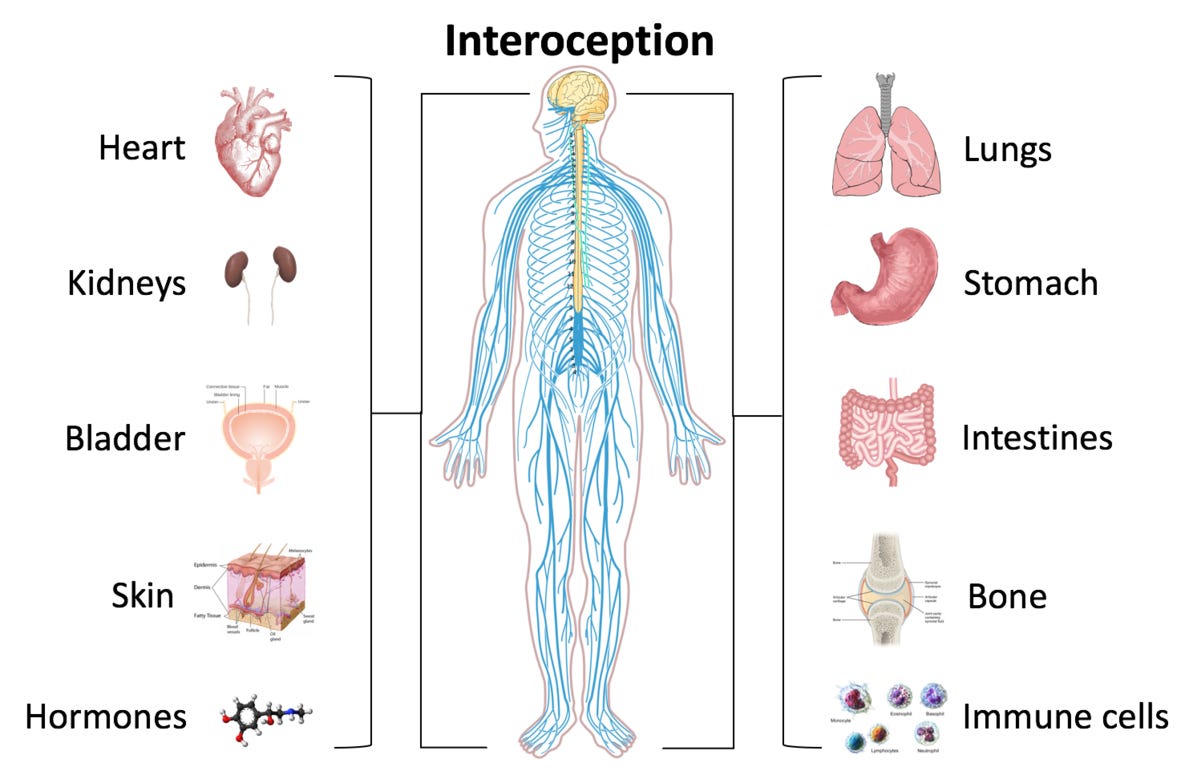 Unmasking the Overlap: Autism, Hypermobile EDS, and the Brain-Body ...