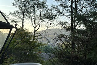 Archive - Mikayla's Substack