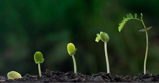 Medley | Anjali | Substack