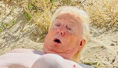 Donald Jeffries | Substack