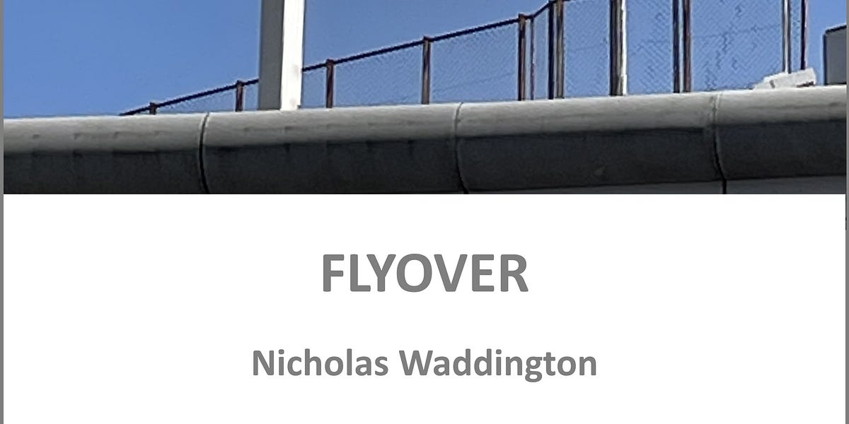 FLYOVER ch.12 - by Nicholas Waddington