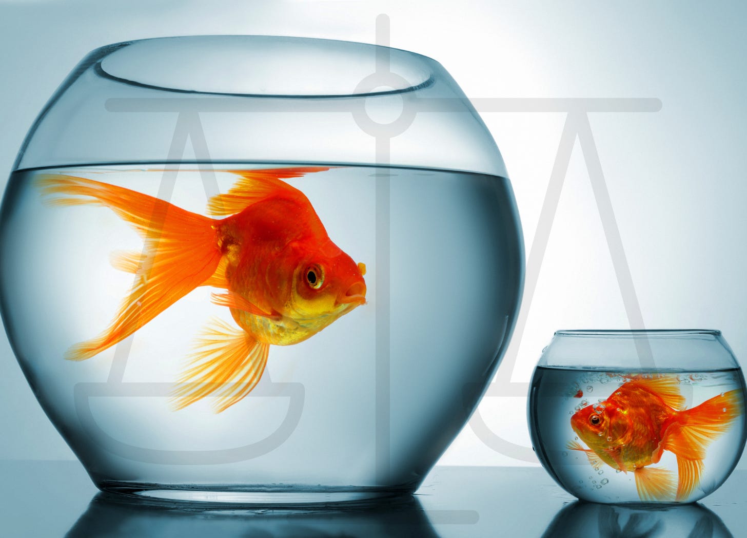 Is life fair? - by Christina Marlett - Courageous Self-Care