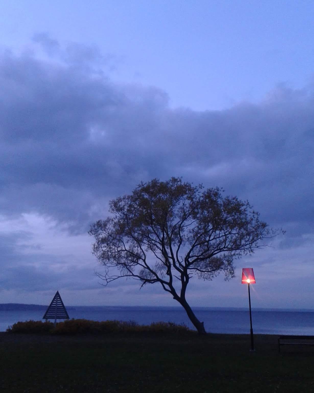 🌳 1 Tree South of Wättern 🇸🇪 ~ all Instagram Filters from Google Photos ...