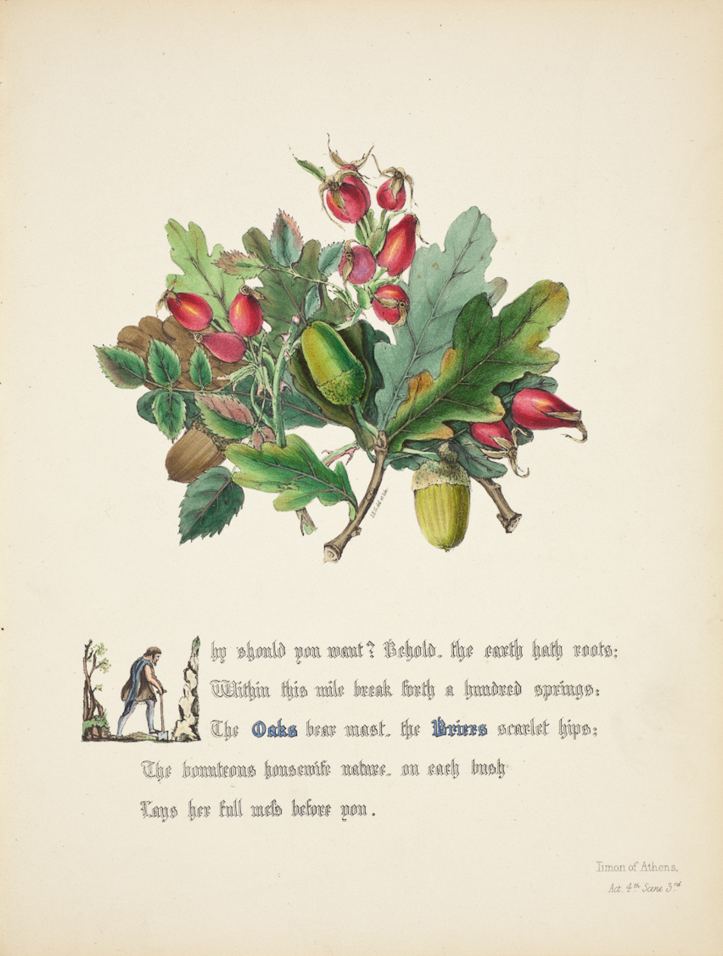 The Shakespeare Garden: Jane Elizabeth Giraud's Posies and Elizabethan ...