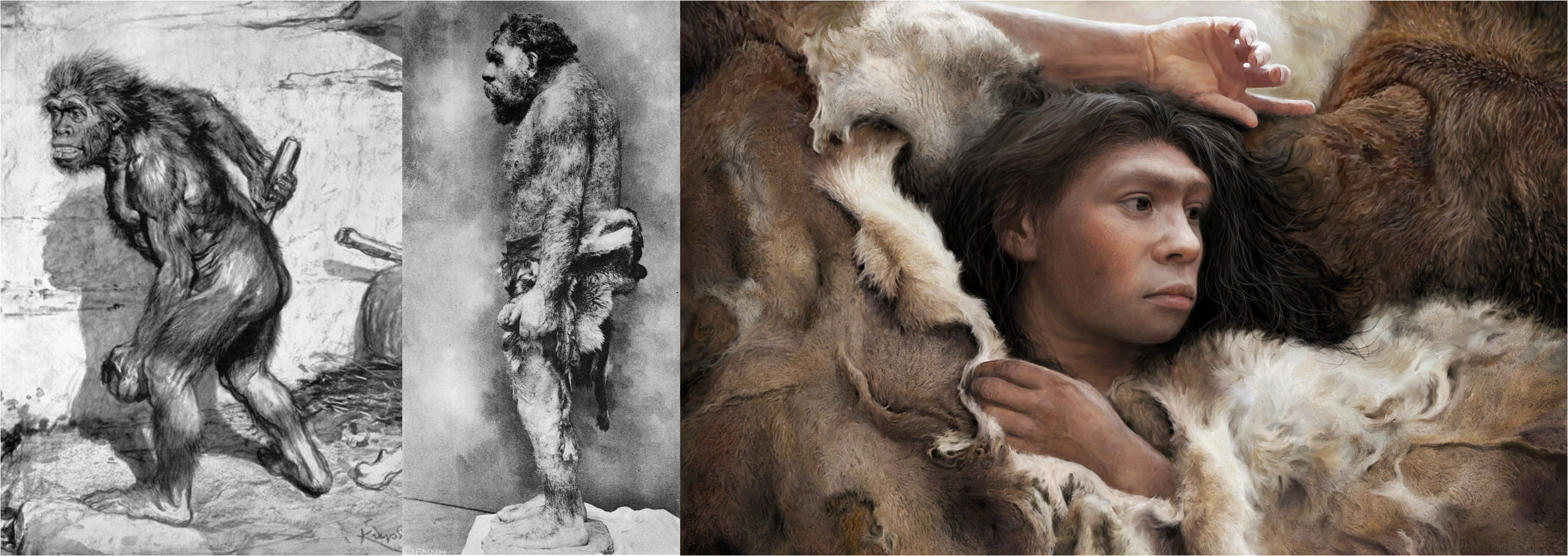 Islamic Models of Human Origin: A Gentle Introduction (Part 1)