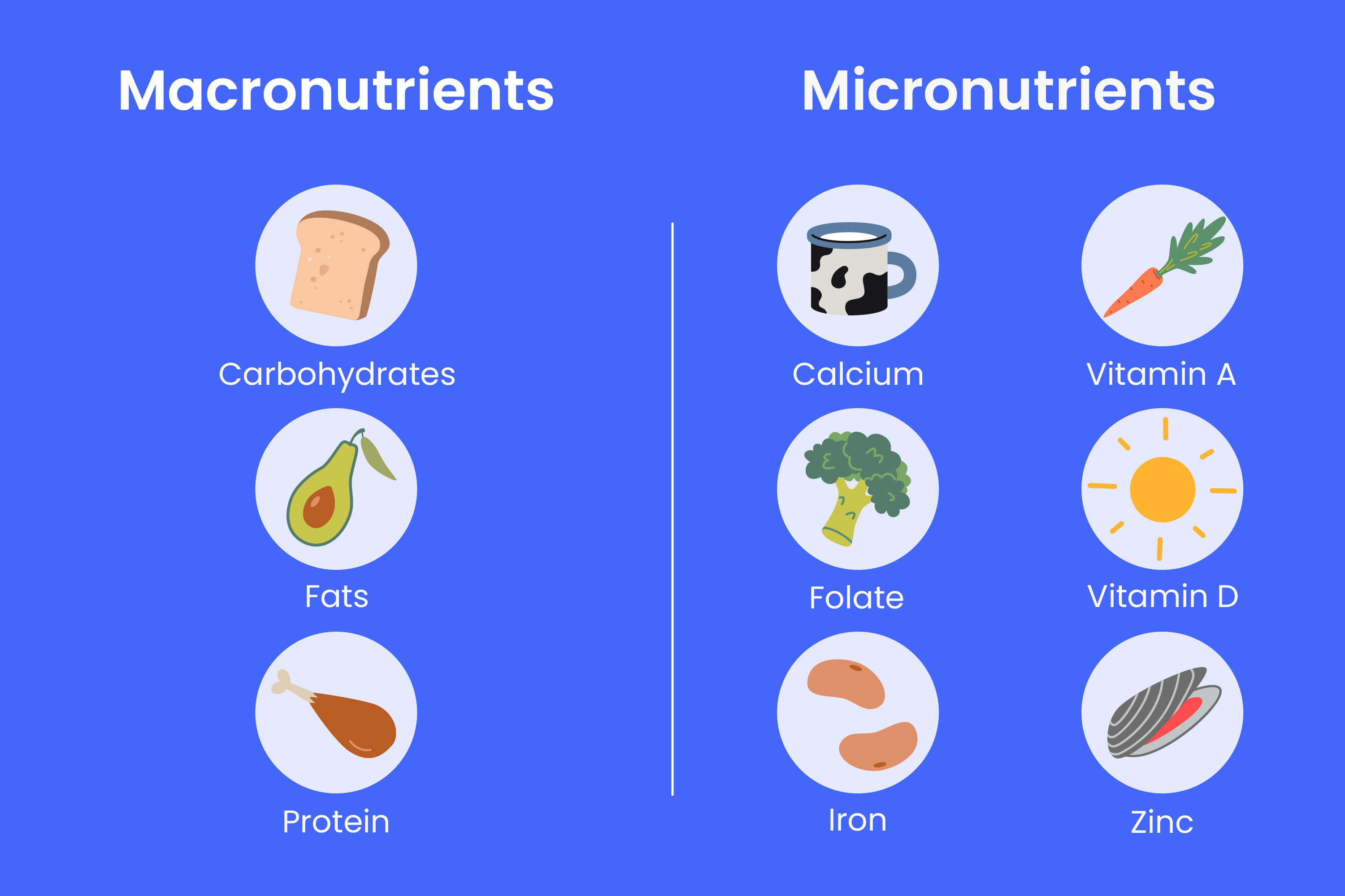 Understanding Nutrients: The Building Blocks of Energy and Health