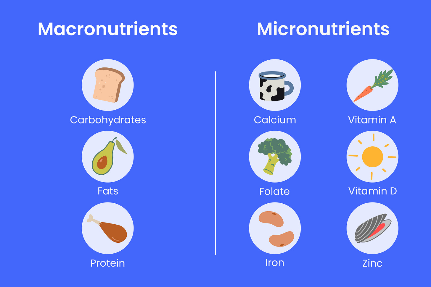 Understanding Nutrients: The Building Blocks of Energy and Health