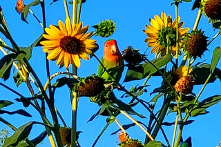 Mike Beram's Substack | Michael Beram | Substack