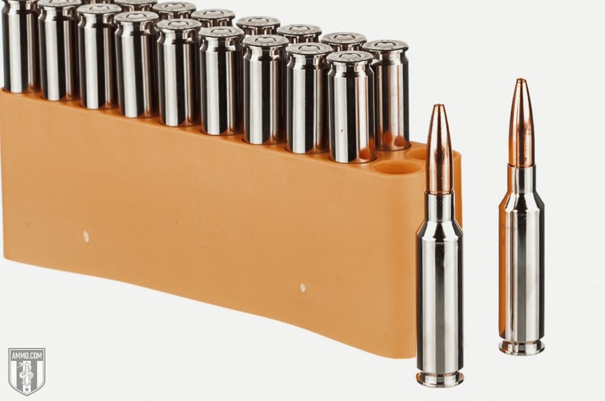 6.5×55 Swedish vs. 6.5 Creedmoor: The New 6.5mm Hotness | Tea Party ...