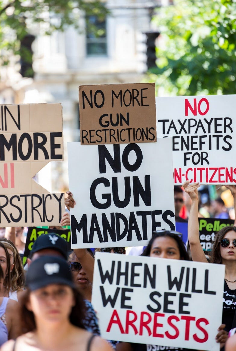 I.C.E., the Constitution, the 2nd Amendment, Alex Pretti, Trump, and ...