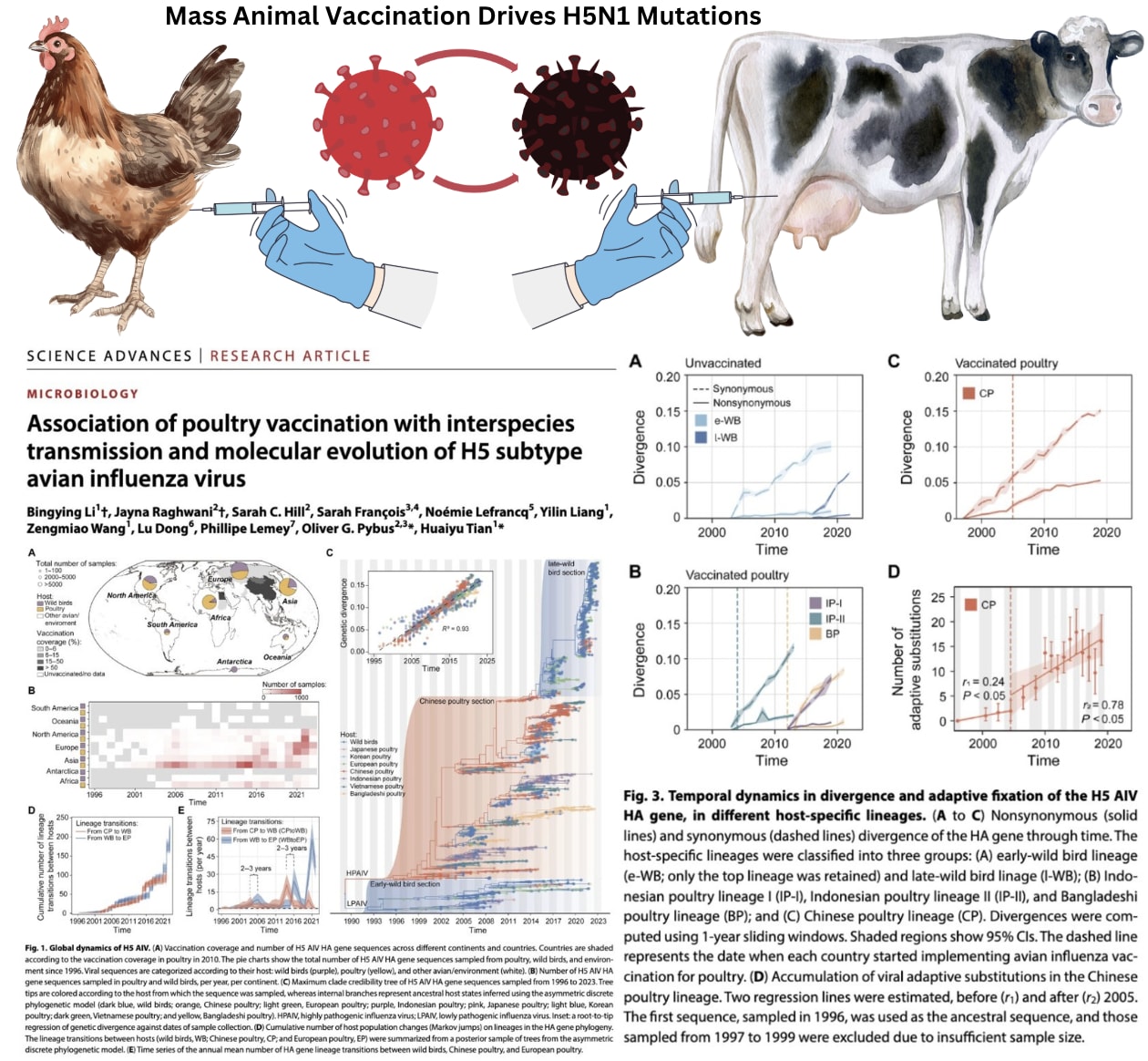 USDA’s Mass H5N1 Poultry Vaccination Plan Likely to Rely on Leaky ...
