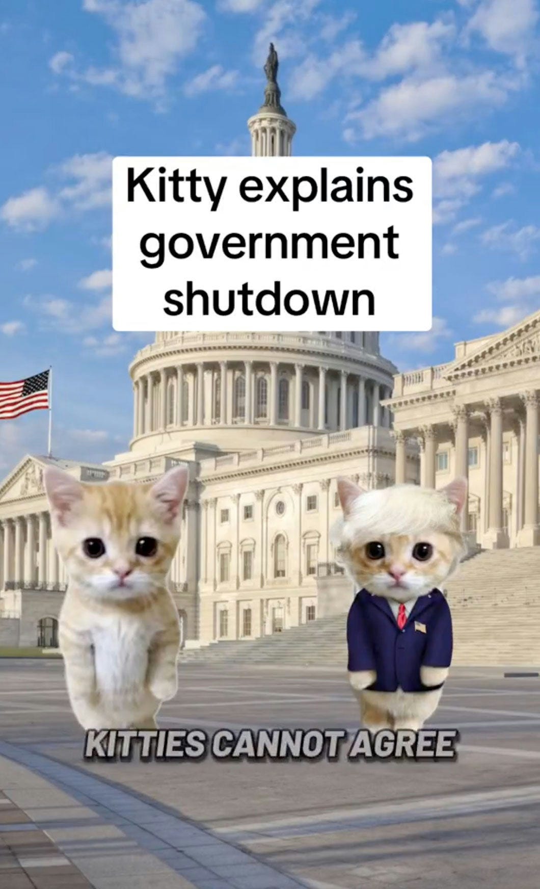 The Shutdown Is a Meme War - by River Page - The Free Press