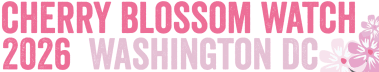2026 Cherry Blossom Watch | David Coleman | Substack