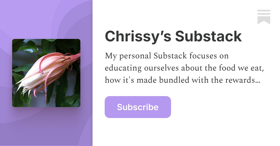 Chrissy’s Substack | Substack