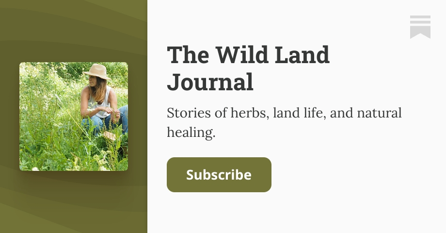 The Beautiful Chaos | Izzy Walton | Substack