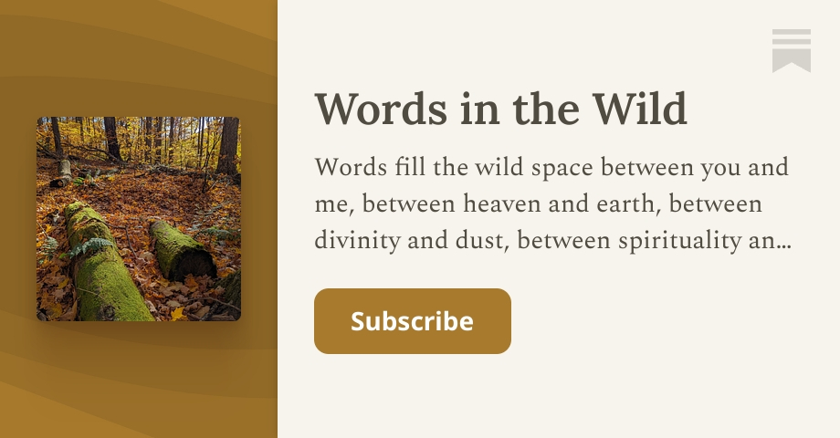 Writers in the Wild - by Jonathan King - Words in the Wild