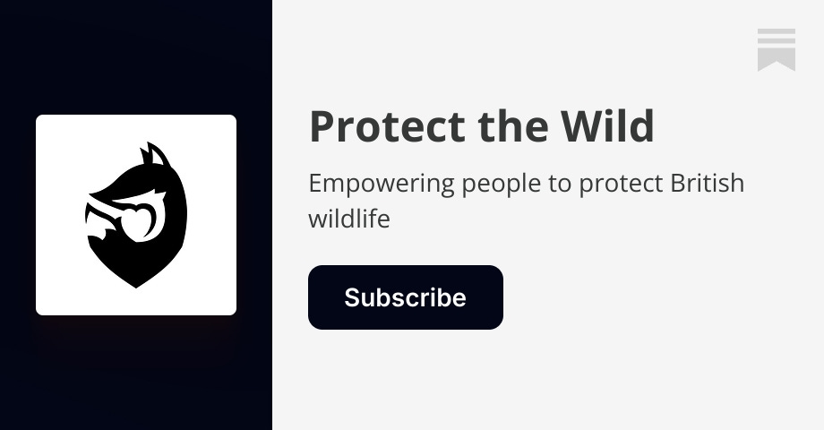 Protect the Wild | Substack