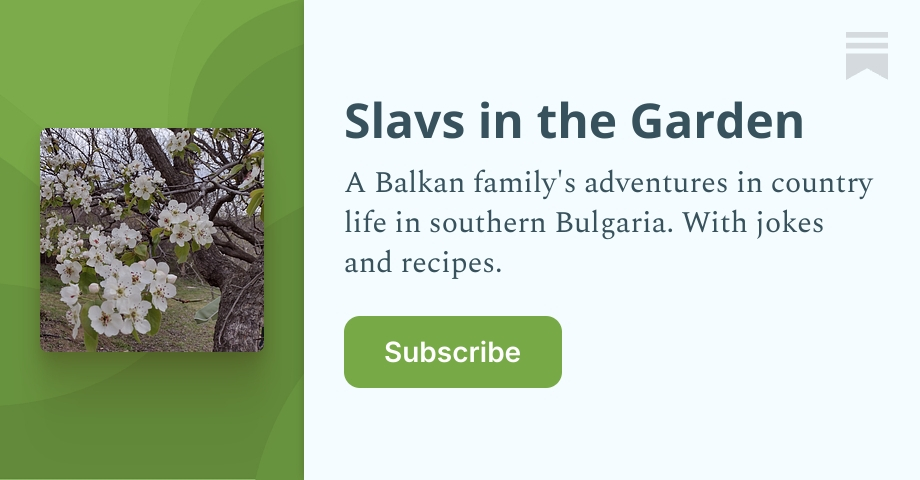 Mouse Hunt: The Movie - by Irina Slav - Slavs in the Garden