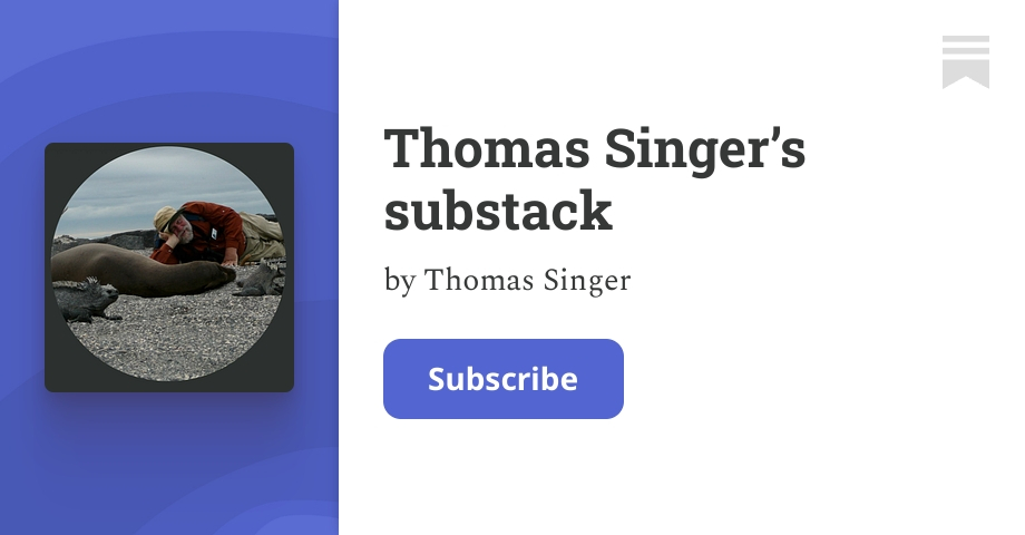 The Immunity Paradox - Thomas Singer’s substack