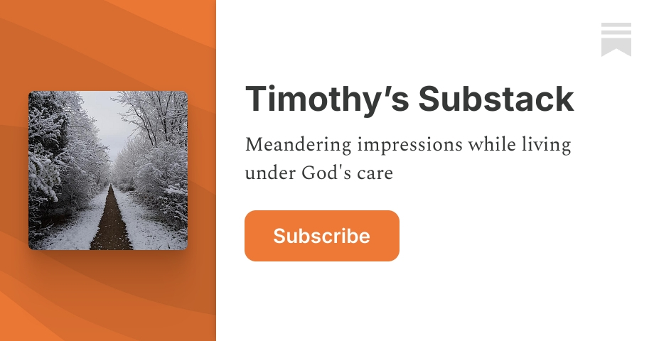 Heroes - Timothy’s Substack