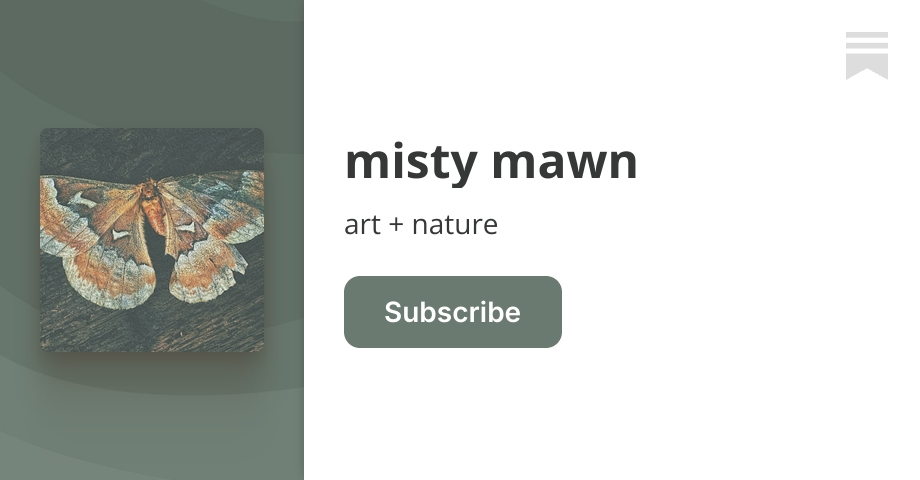 misty mawn | Substack