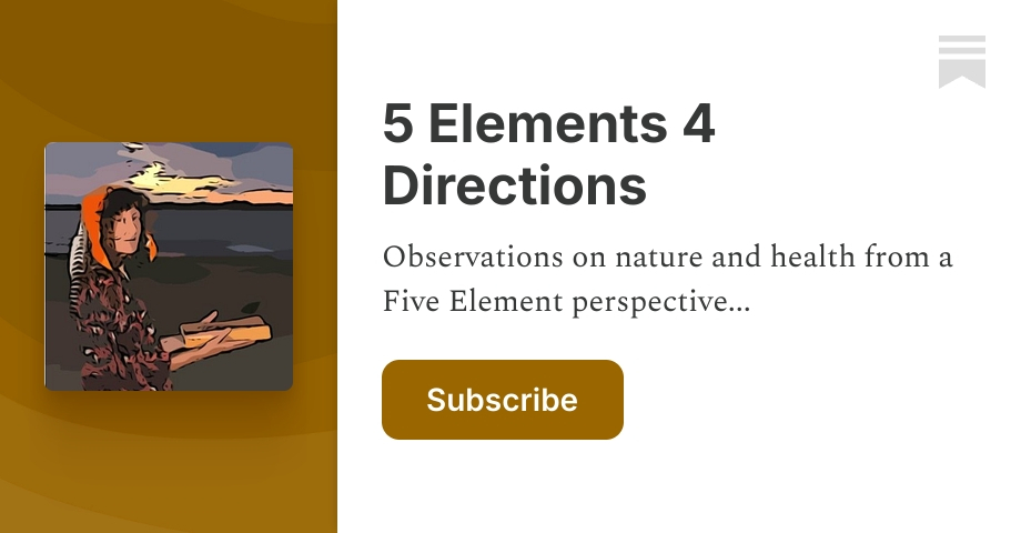 5 Elements 4 Directions | Tara Welty | Substack
