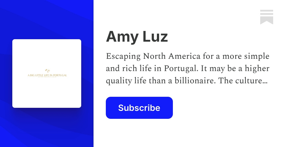 Amy Luz | Substack