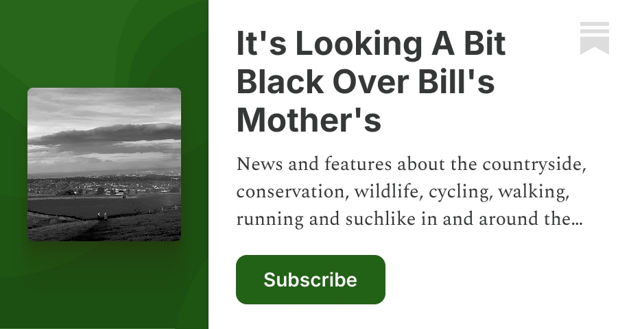 It's Looking A Bit Black Over Bill's Mother's | David Bocking | Substack