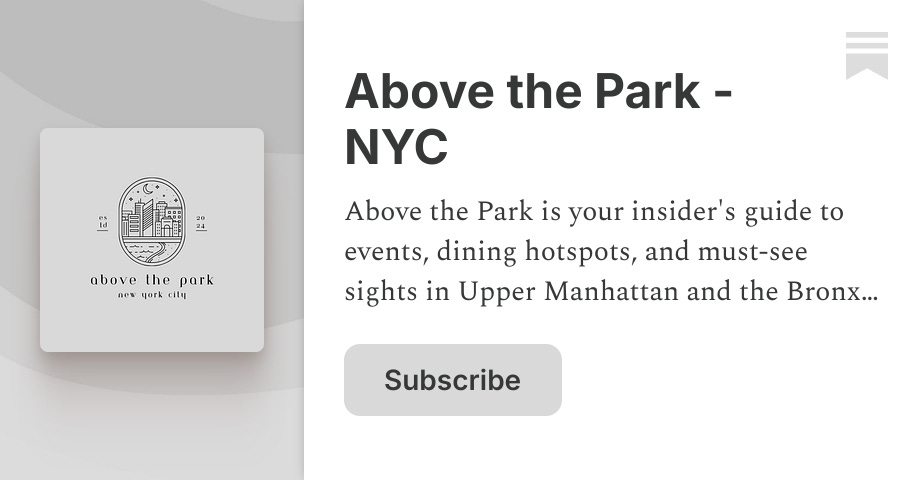 Above the Park - NYC | Zahreen Ghaznavi | Substack
