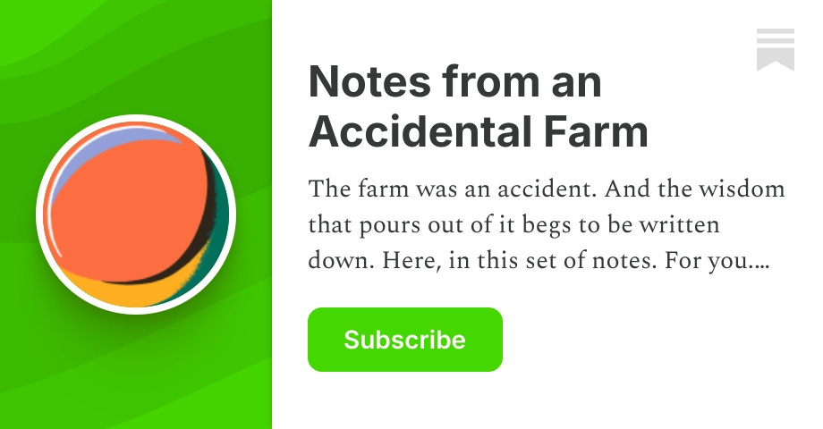 WIP - by Dana | Farm Girl - Notes from an Accidental Farm