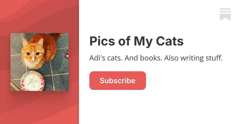 Pics of My Cats | Adi Rule | Substack