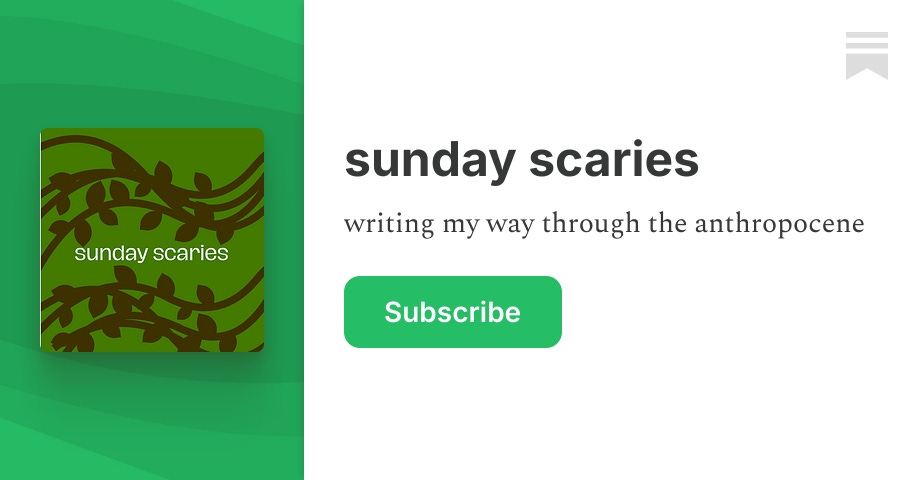 sunday scaries | Adriana Rodriguez | Substack