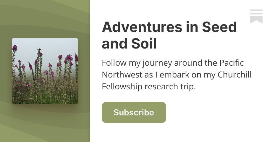 Adventures in Seed and Soil | Holly Silvester | Substack