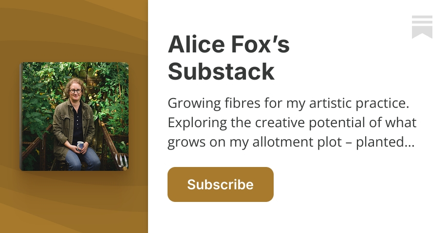 Alice Fox’s Substack | Substack