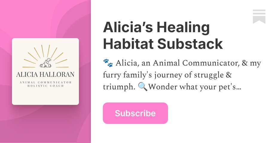 Alicia’s Healing Habitat Substack | Alicia Halloran | Substack