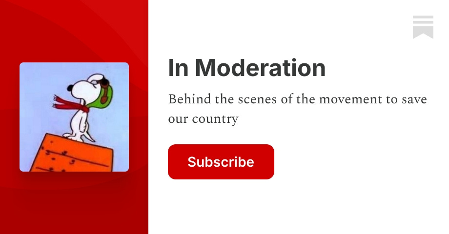 In Moderation | Ally Rose | Substack