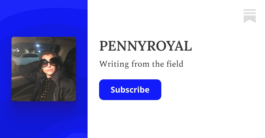 PENNYROYAL | Amanda Fortini | Substack