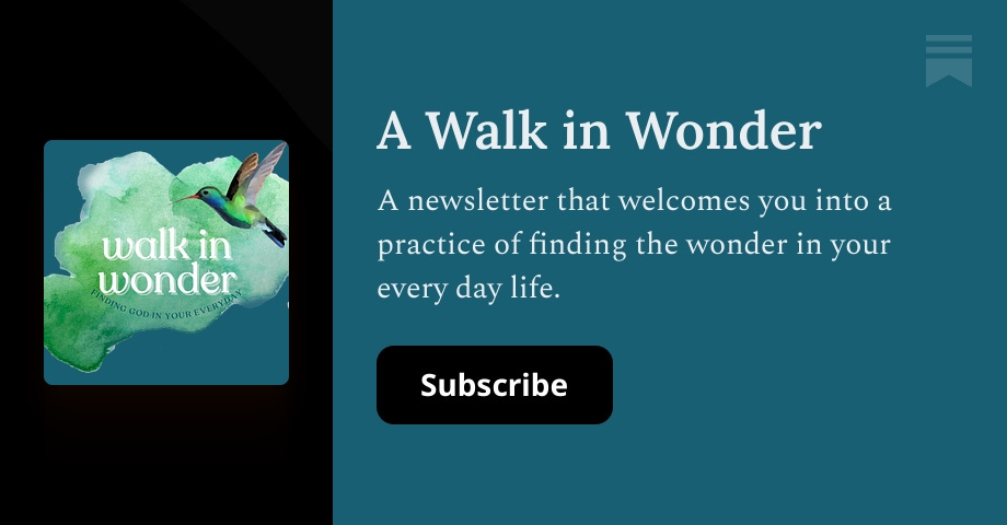 A Walk in Wonder | Amber Redmond | Substack