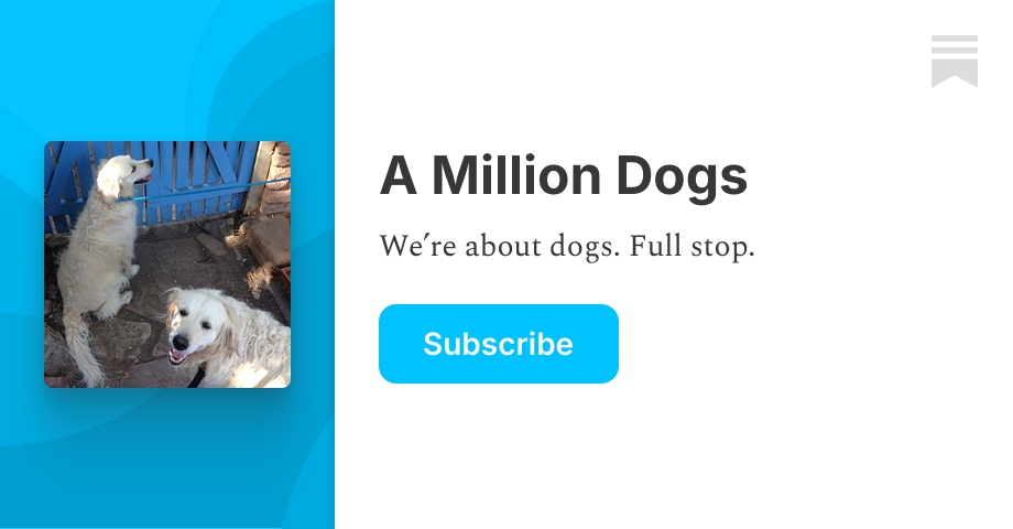 A Million Dogs | Substack